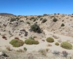 Desert Geological Terms: Unique Rock Formations and Definitions