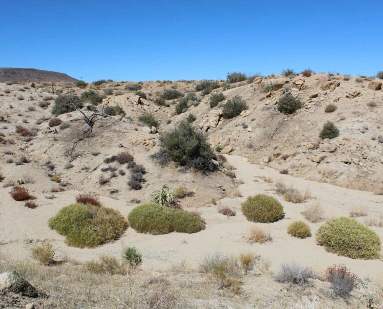 Desert Geological Terms: Unique Rock Formations and Definitions