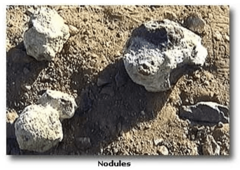 Rockhound State Park, NM - DesertUSA